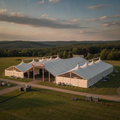 China Large Capacity Festival Concert Event Party Marquee Tent Modular Expandable Design for Poland Music Festival Venues for sale