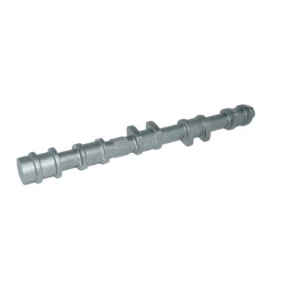 China Exhaust Camshaft for 2.0L Naturally Aspirated Gasoline Engine for sale