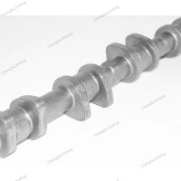 China High-Performance Chilled Casting Camshaft for 2.0L Gas Engine for sale
