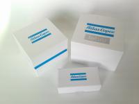 China Coated Paper Board Gift Box For Packing, Fashion Printed Rigid Gift Boxes With Sponge Tray for sale