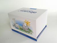 China Fashion Coated Paper Board Box, Rectangle Printed Rigid Gift Boxes For With Custom Logo for sale