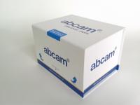 China Fashion Coated Paper Board Box, Rectangle Printed Rigid Gift Boxes For With Custom Logo for sale