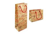 China Stylish C2s Paper Packaging Bags For Promotion, Printed Paper Hand Bag For Gift Packing for sale