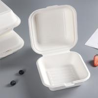 China custom biodegradable sugar cane bagasse donut pastry cake packaging food container eco friendly sugarcane burger box for sale