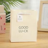 China Birthday gift bag with hand-made paper bag perfume lipstick gift bag small Christmas bag for sale