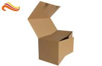 China Color Printed Corrugated Paper Box For Cosmetic Product Packaging CO-032 for sale
