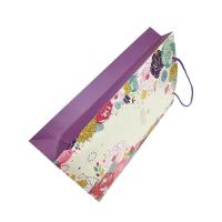 China Recyclable Custom Paper Gift Bags Pantons Colors Various Sizes Eco - Friendly for sale