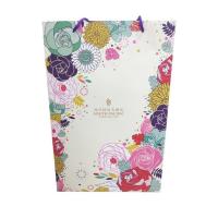 China Recyclable Custom Paper Gift Bags Pantons Colors Various Sizes Eco - Friendly for sale