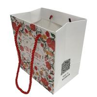 China Retail Clothing Packaging Paper Bag Custom Own Logo Printed Hand Length Handle for sale