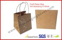 China Customized Craft Paper Packaging Bags Foil In Silver With Nylon Tape for sale