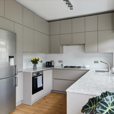 China Plywood Lacquer Kitchen Cabinet Modern Modular Kitchen Cabinets Moisture Proof for sale