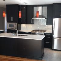 China Modern Black Lacquer Kitchen Cabinet Natural Maple Shaker Kitchen for sale