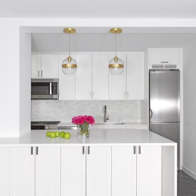China American White Shaker Lacquer Wooden Kitchen Cabinets with 18mm Plywood Carcass and Blum Soft Close Hardware for sale
