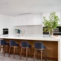 China High Quality Luxury Kitchen Cabinet Matte White Lacquer Kitchen Cabinet for sale