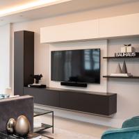 China Modern Matte Black TV Stand with Soft-Close Drawer 350-450mm Custom Plywood Lacquer Cabinet for sale