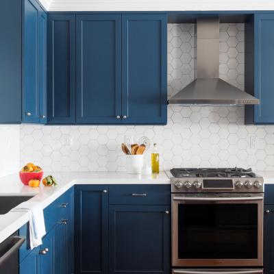 China Reasonable Price Home Blue Kitchen Unit Cabinet U Shape Lacquer Modern Kitchen Cabinets USA for sale