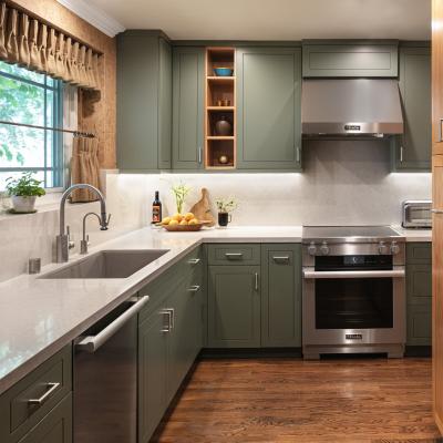 China Solid Wood Modern Shaker Kitchen Cabinet Green Brown 18mm Plywood Custom Sizes for sale