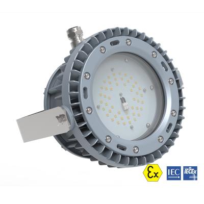 China 30W 45W 60W 80W LED Explosion Proof Lights Power Factor > 0.98 Sealion Series for sale
