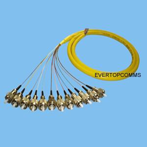 China Bunch Pigtail(FC 12core) for sale