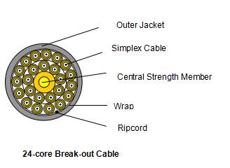 China 24-core Break-out Cable for sale