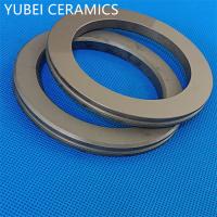 China SSiC Silicon Carbide Seal Rings Size Customized O Ring Mechanical Seal for sale