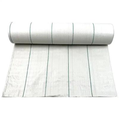China Alkali Resistant PP Woven Geotextile Fabric Roll For Driveway And Road Stabilization for sale
