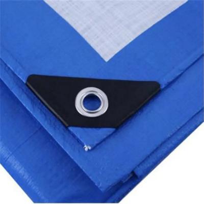 China PE Waterproof Fabric Tarp Insulated PE Tarpaulin Sheet Durable Cover For Poultry for sale