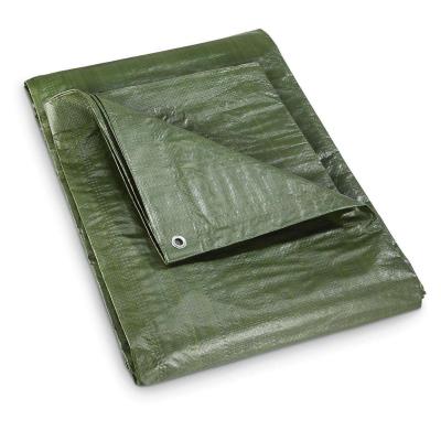 China PE Waterproof Fabric Tarp Insulated PE Tarpaulin Sheet Heavy Duty for Poultry Application for sale