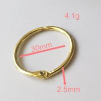 China Customization Factory Wholesale Adjustable 20mm Metal O Ring Buckle Spring Gate Snap Hook for Bags File Folder Accessories for sale
