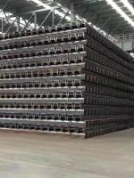 China Hot Rolled Steel Sheet Pile SY295 SY390 Q345B Q235B Custom Height 12m for sale