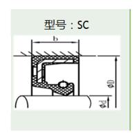 China High Tolerance TC SC TB SB Standard Oil Seals Rubber Round 80mm 100mm for sale