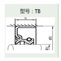 China High Tolerance TC SC TB SB Standard Oil Seals Rubber Round 80mm 100mm for sale