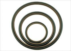 China Stainless Steel U Seal Hydraulic Cylinder U Ring High Hardness ISO9001 for sale