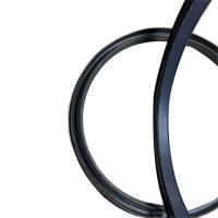 China Customizable Rubber Oil Seal for Optimal Sealing Performance for sale