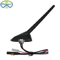 China FM TV Digital Radio Car Aerial Antenna 1710KMz Vehicle Mounted Antenna for sale