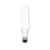 China 6dBi  2.4G 5.8G Omni Wifi Antenna for sale