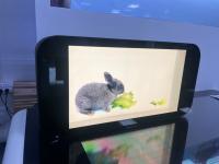China Indoor 3D Transparent LCD Screen for sale