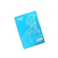 China 256GB 2.5 Inch SSDs Faspeed 500MB/S ZS SATA 3 Solid State Drive for sale