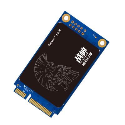 China NAND Flash ZS Mini MSATA SSD 512GB Internal For Laptop for sale