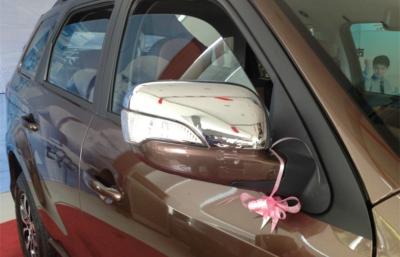 China HAIMA S7 2013 2015 Auto Body Decoration Parts , Chromed Side Mirror Cover for sale