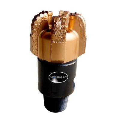 China 9 1/2 Inch CS1605 Steel Body PDC Drill Bit with 16mm Cutters and 5 Blades for Oil & Water Wells for sale