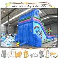 China Entertain Kids with 3D Paw-Patrols Inflatable Water Slide and Pool Double-lane Design for sale