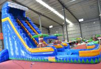 China Digital Printing 23ft Tall Blue Marble Fantasy Water Slide Inflatable Games for Rental for sale