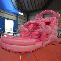 China Girls Pink Inflatable 26 Foot Water Slide Pool Perfect for Commercial Rental and Fun for sale