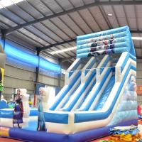 China Digital Printing Frozen Inflatable Water Double Slip N Slide for Outdoor Entertainment for sale