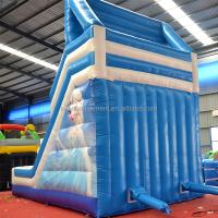 China Digital Printing Frozen Inflatable Water Double Slip N Slide for Outdoor Entertainment for sale