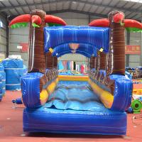 China Inflatable Blue Tropical Palm Trees Marble Water Slide Perfect for Commercial Rental for sale