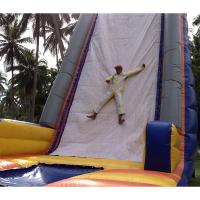 China Custom Logo Accepted Inflatable Sticky Wall and Climbing Wall for Outdoor Adult Games for sale