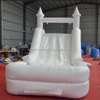 China Indoor and Outdoor Entertainment Toddler Inflatable Water Slide for Commercial Rental for sale