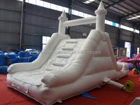 China Indoor and Outdoor Entertainment Toddler Inflatable Water Slide for Commercial Rental for sale